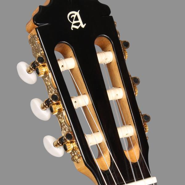 Guitars & Accessories | Counterpoint Music